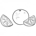 31 Disegni Di Arancia Da Colorare Per Bambini | Disegnidacolorarewk