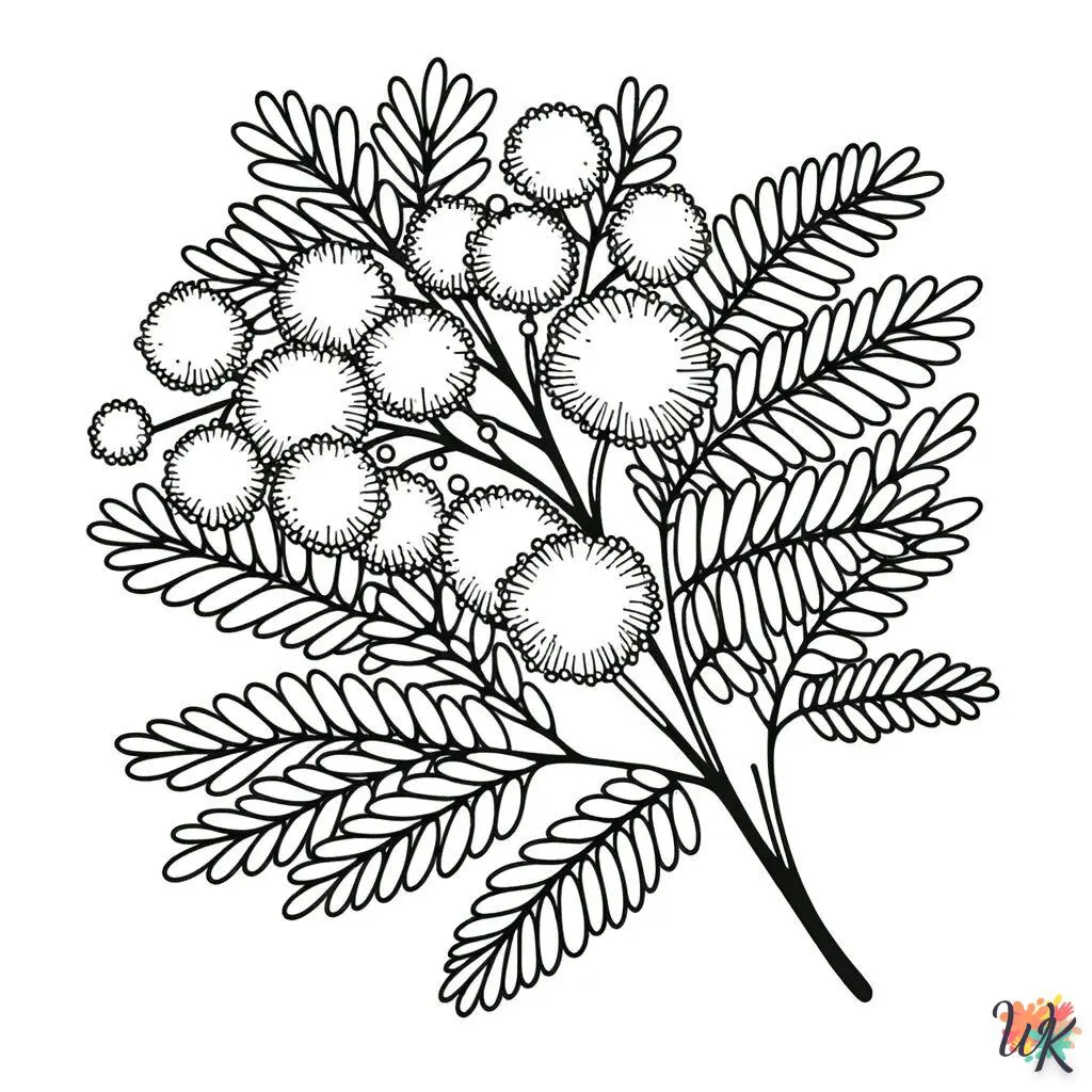 10 Disegni Di Mimosa Da Colorare | Disegnidacolorarewk